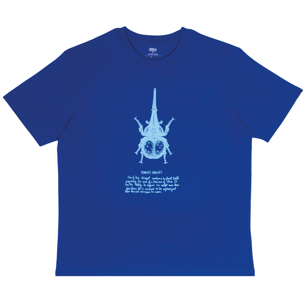 NOWLAND | Streetwear brand – Nowland